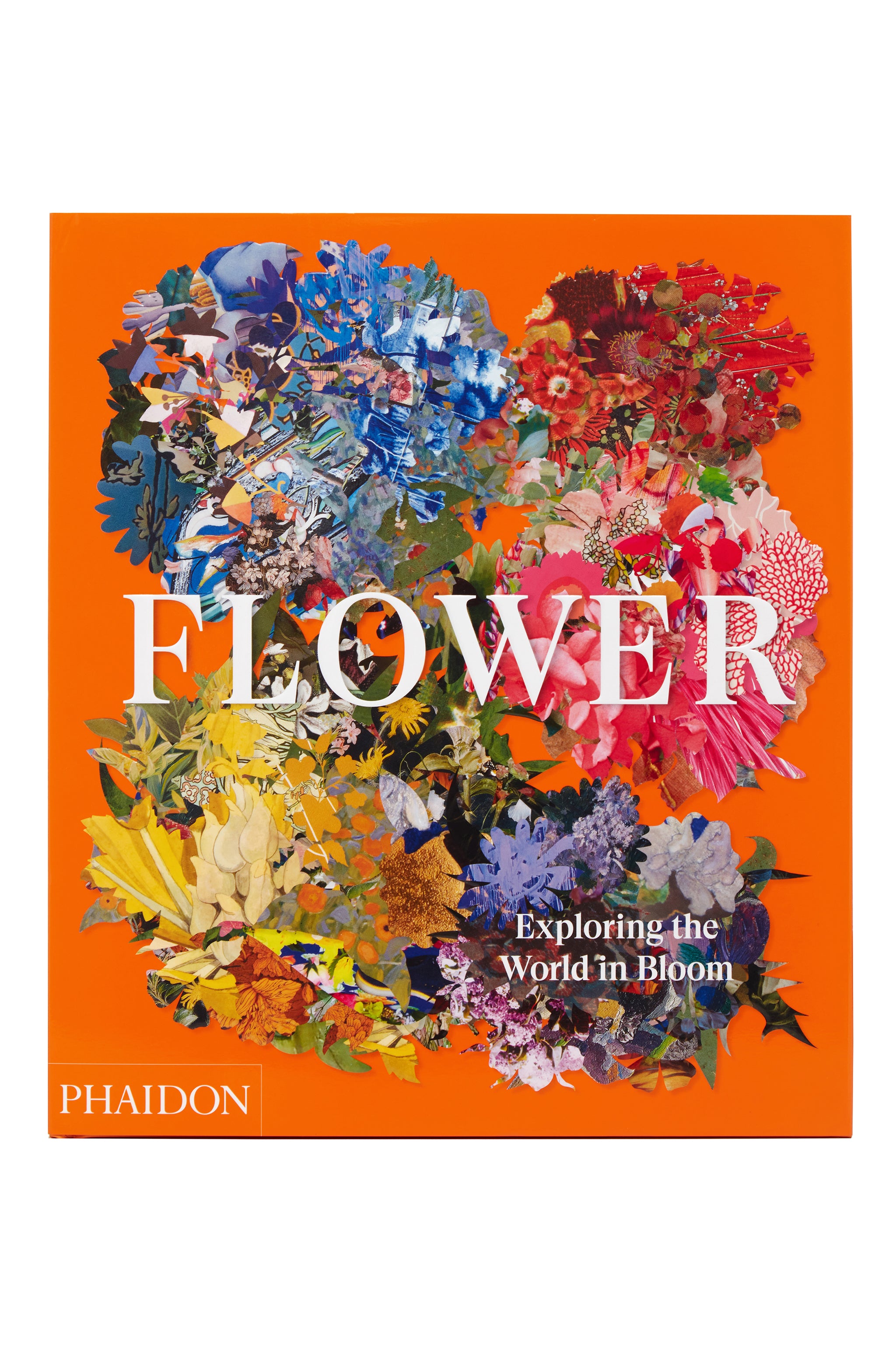Flower: Exploring the World in Bloom – SEED BRKLYN